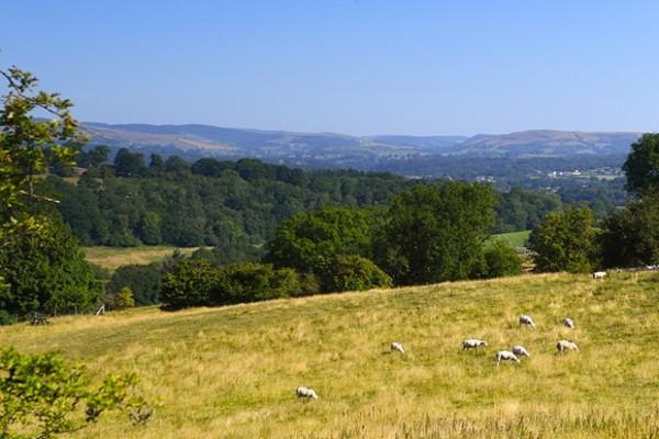 Interim agri-environment scheme announced for 2024 | GOV.WALES
