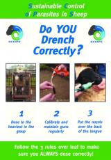 Sheep drenching: advice leaflet | GOV.WALES